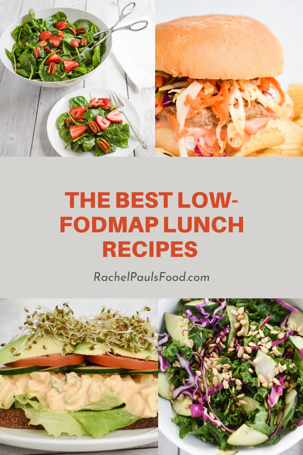 Dr Rachel s BEST Low FODMAP Lunch Recipes Gluten free LaptrinhX News