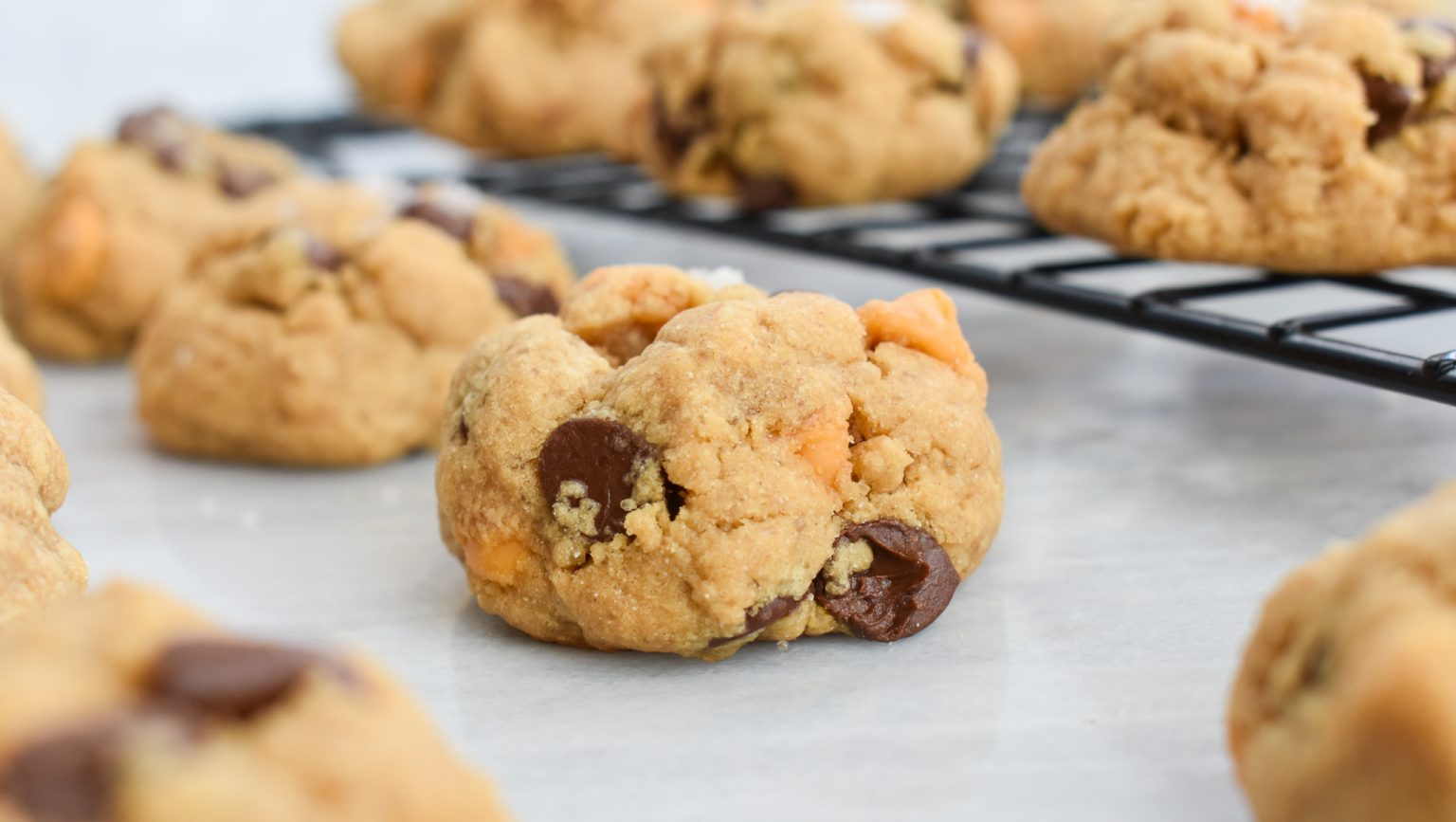 Dr. Rachel's Best Collection of Low-FODMAP Cookie Recipes; Gluten-free ...